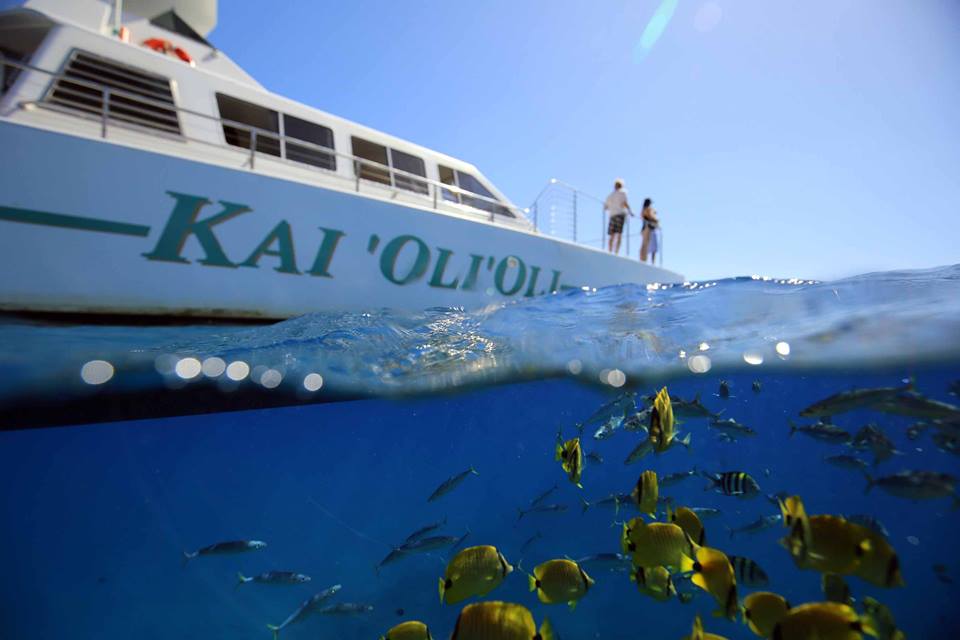 Morning Boat Trips Oahu | Ocean Joy Cruises