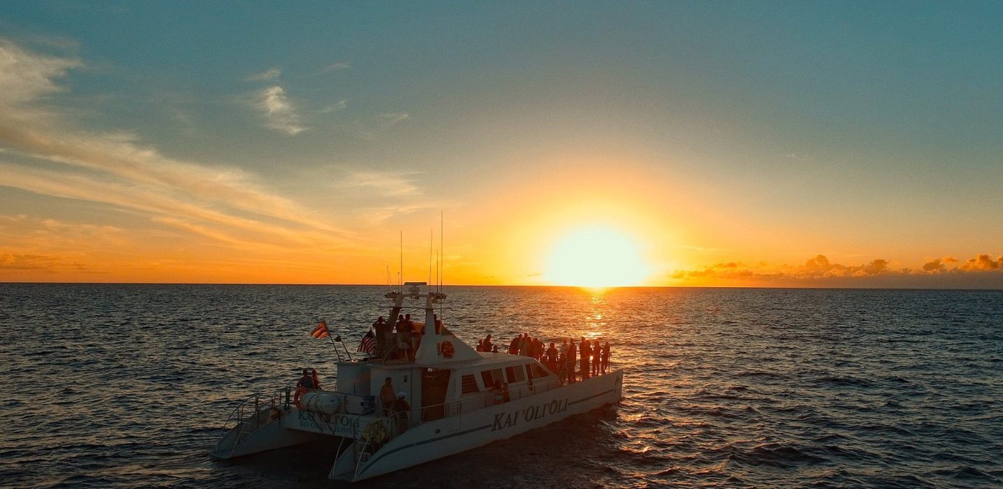 Videos | Ocean Joy Cruises, Hawaii